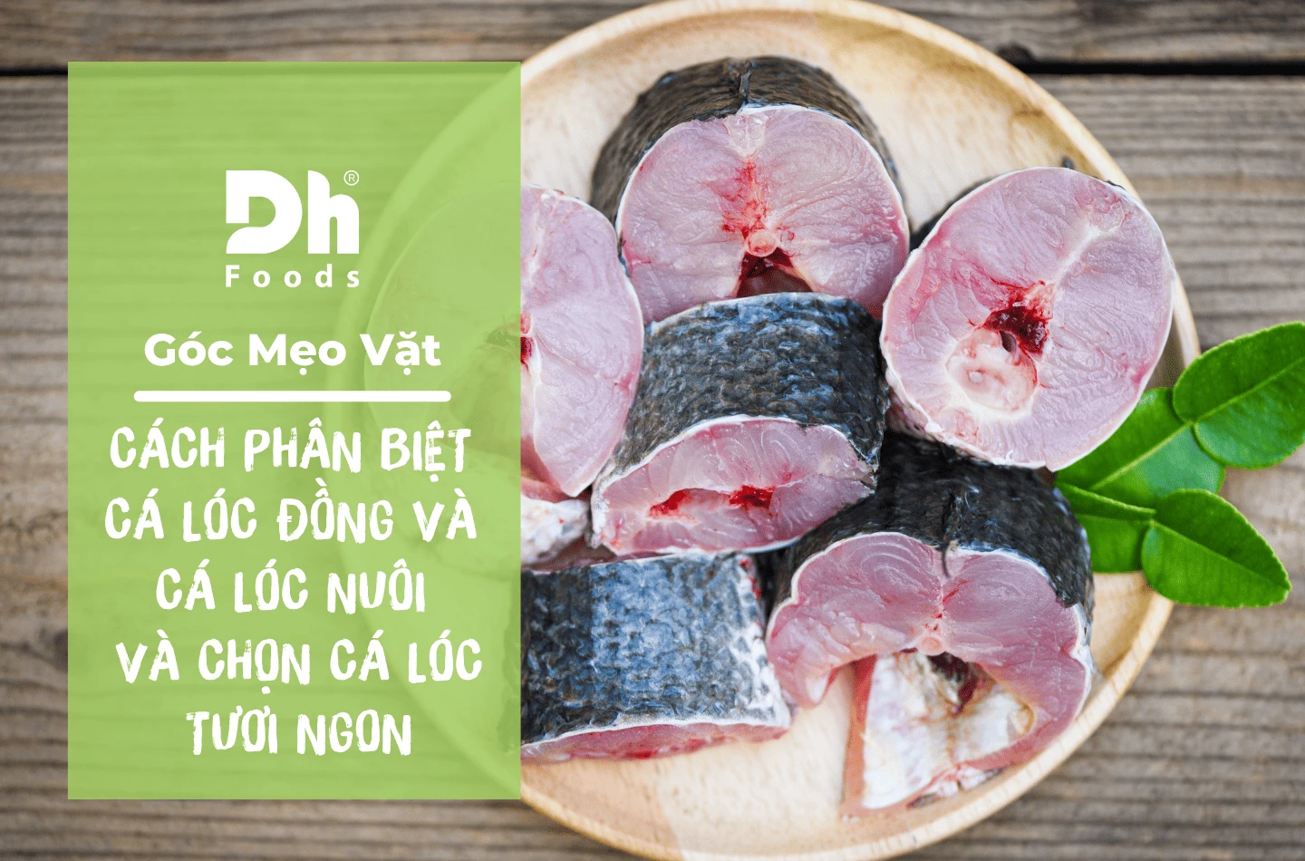 Phân biệt cá lóc nuôi và cá lóc đồng. Cách chọn cá lóc tươi ngon và mẹo ...